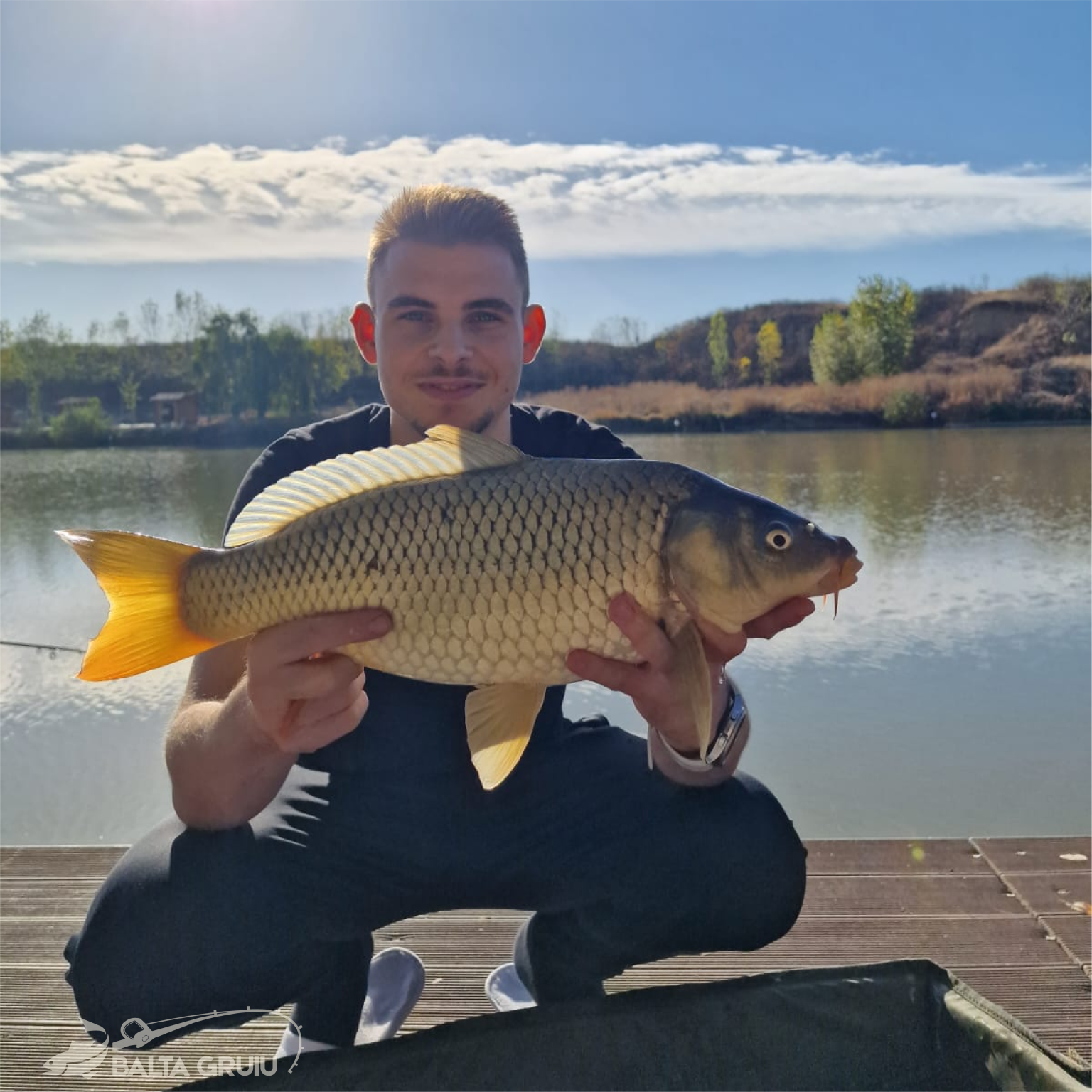 Galerie – Balta Gruiu