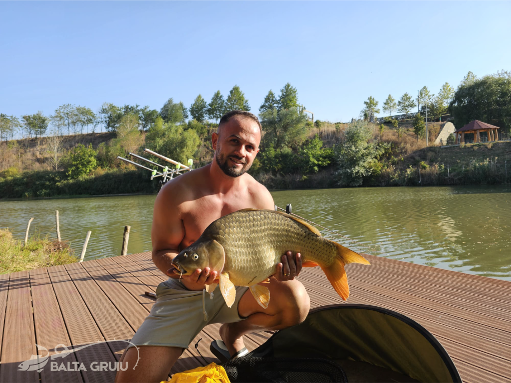 Galerie – Balta Gruiu